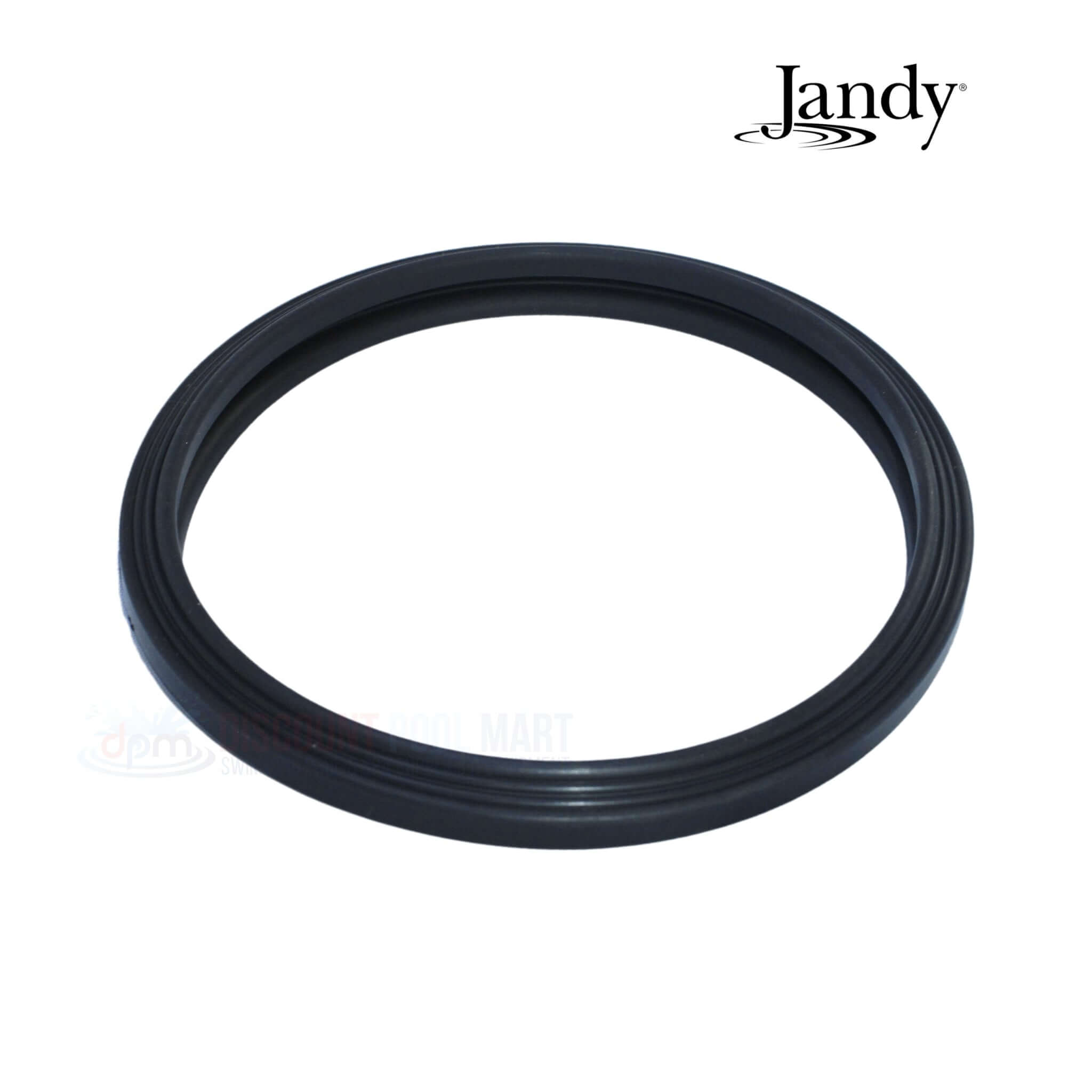 R0790500 | Jandy Pool Light Lens Gasket | R0451101
