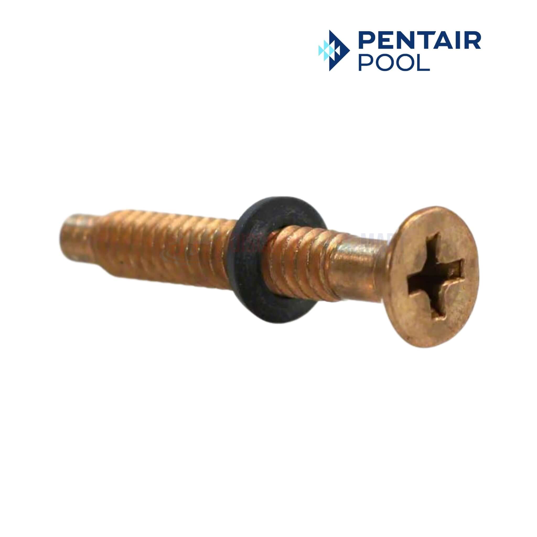 79104800 | Pentair Pool Lights Brass Pilot Screw with Captive Gum Wash