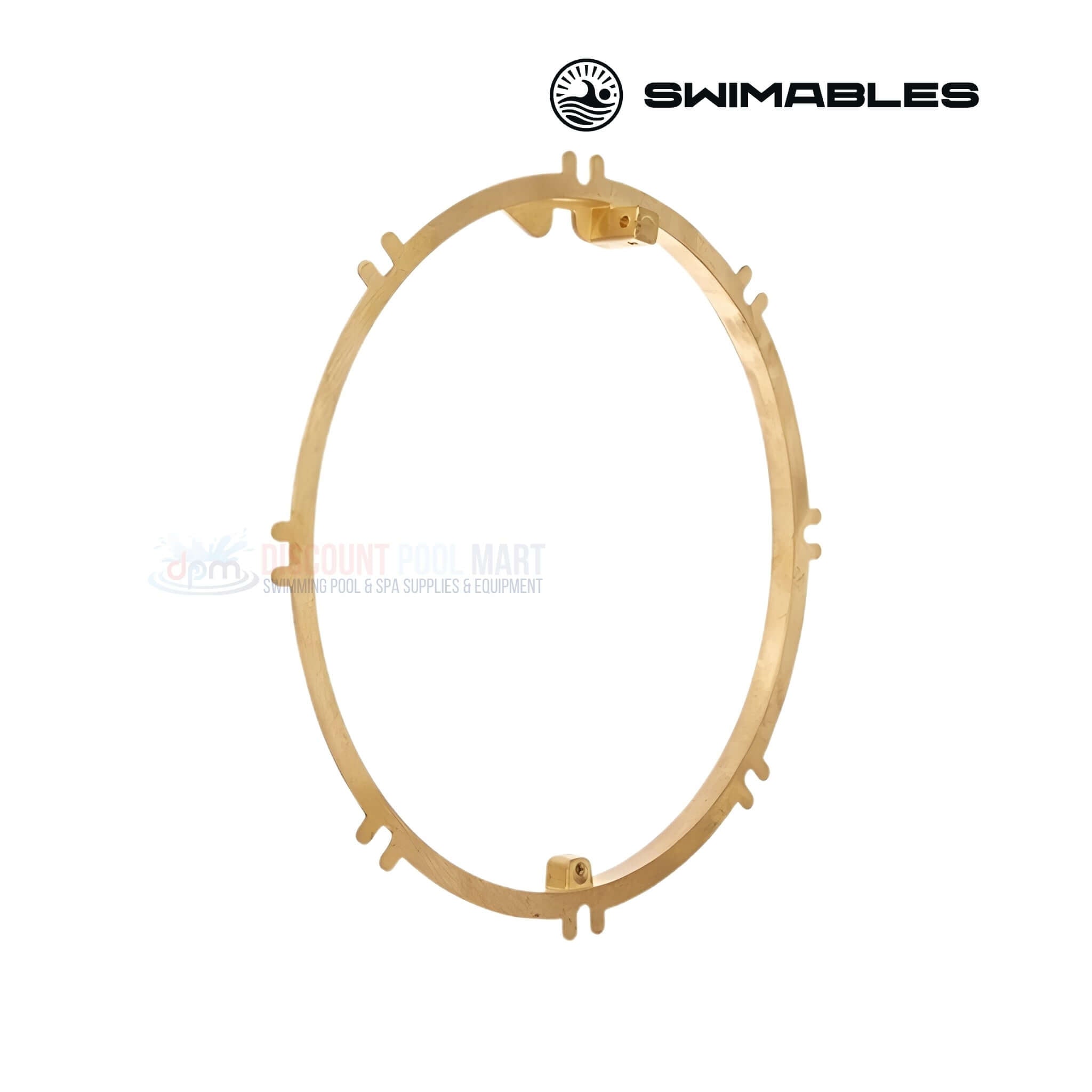 SW-70-116 | Swimables Mounting Brass Ring For Pentair Large Stainless